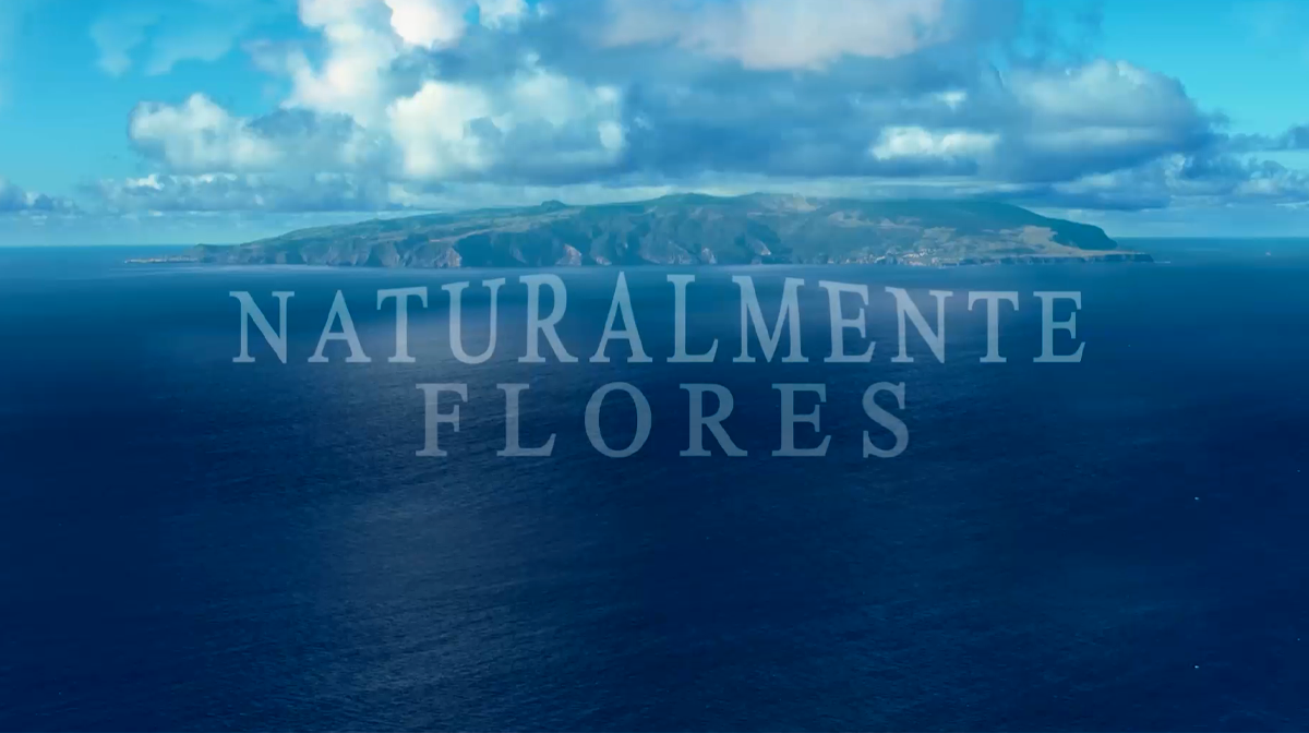 'Naturalmente Flores' estreia hoje na RTP Açores - RTP Açores