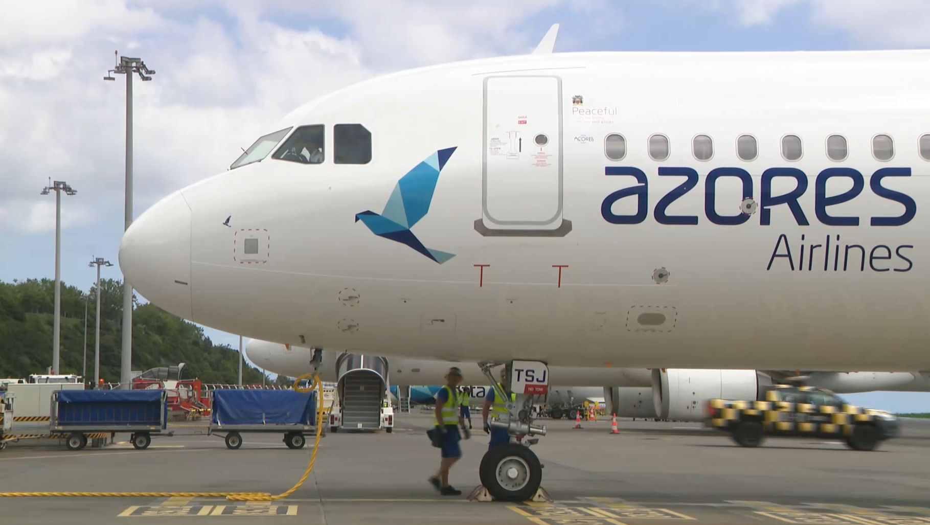 Privatização Azores Airlines: 24 de outubro, data final para ...