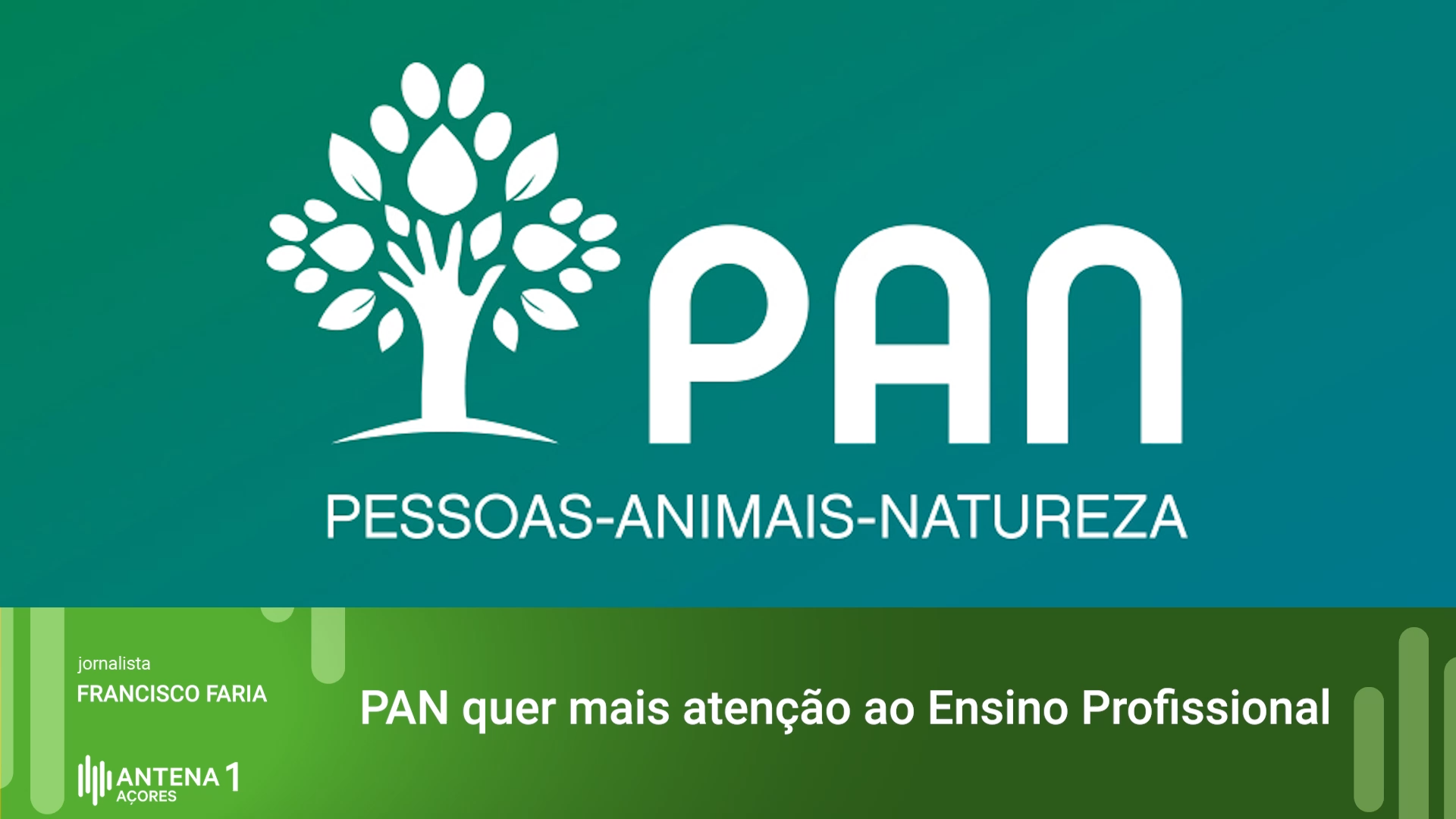 Regionais 2024: PAN quer mais atenção ao Ensino Profissional - RTP Açores