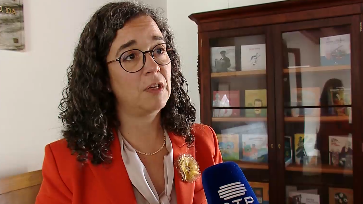 Sofia Ribeiro diz que há demasiada burocracia no sistema de ensino ...