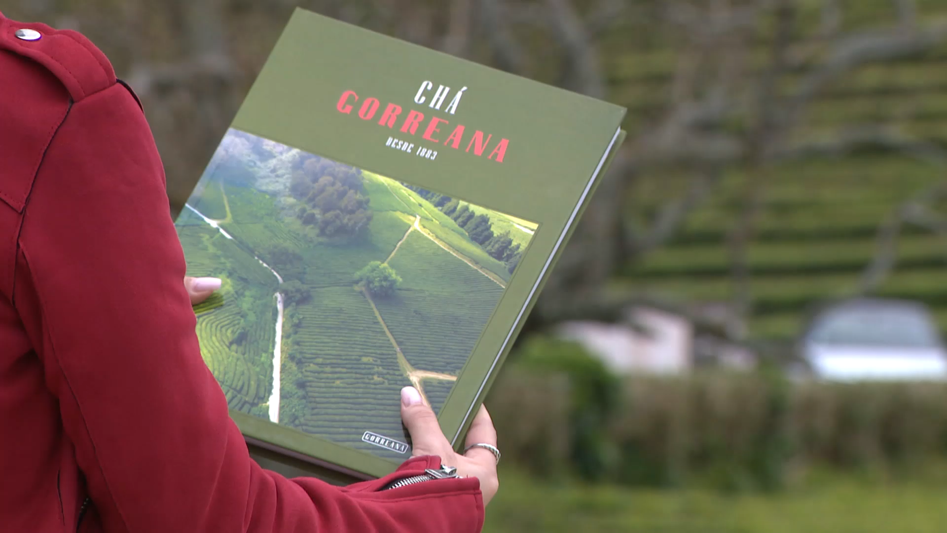 'Chá Gorreana' em livro comemorativo dos 140 anos da Fábrica de Chá ...