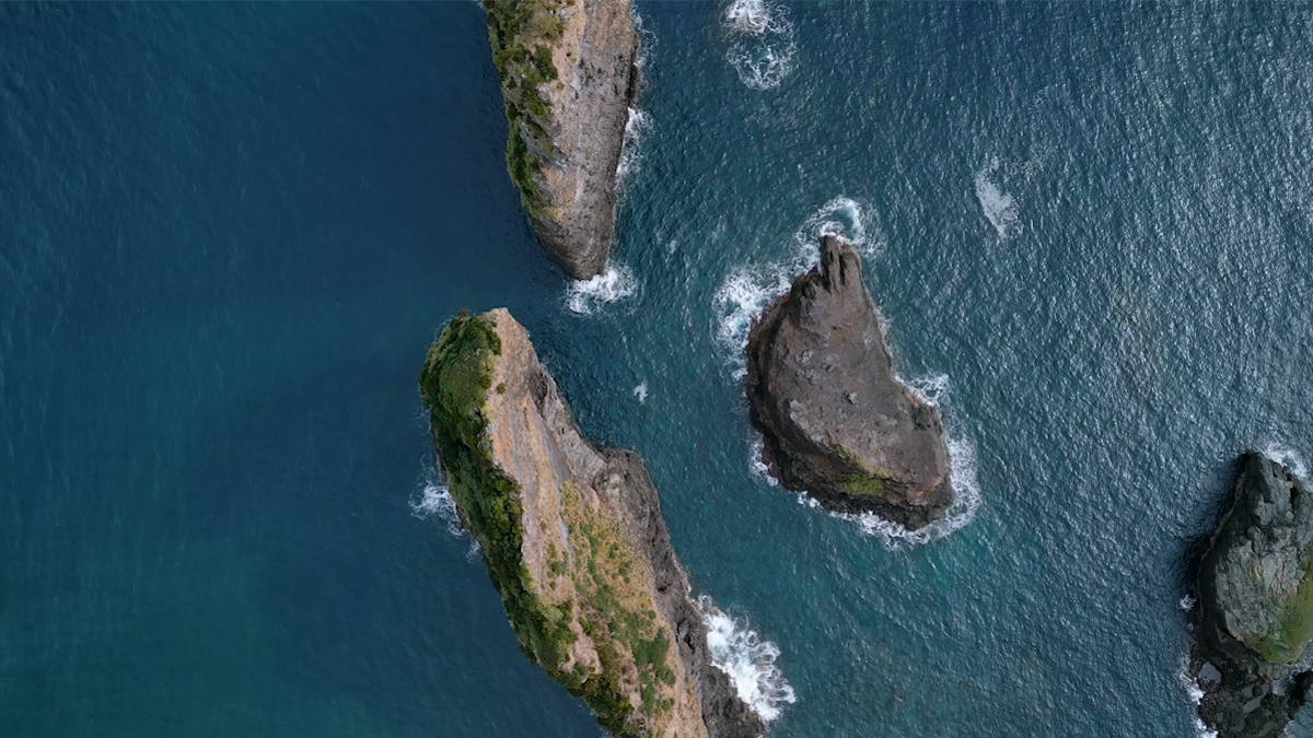 Proteger o Mar dos Açores | O Futuro é Agora - RTP Açores