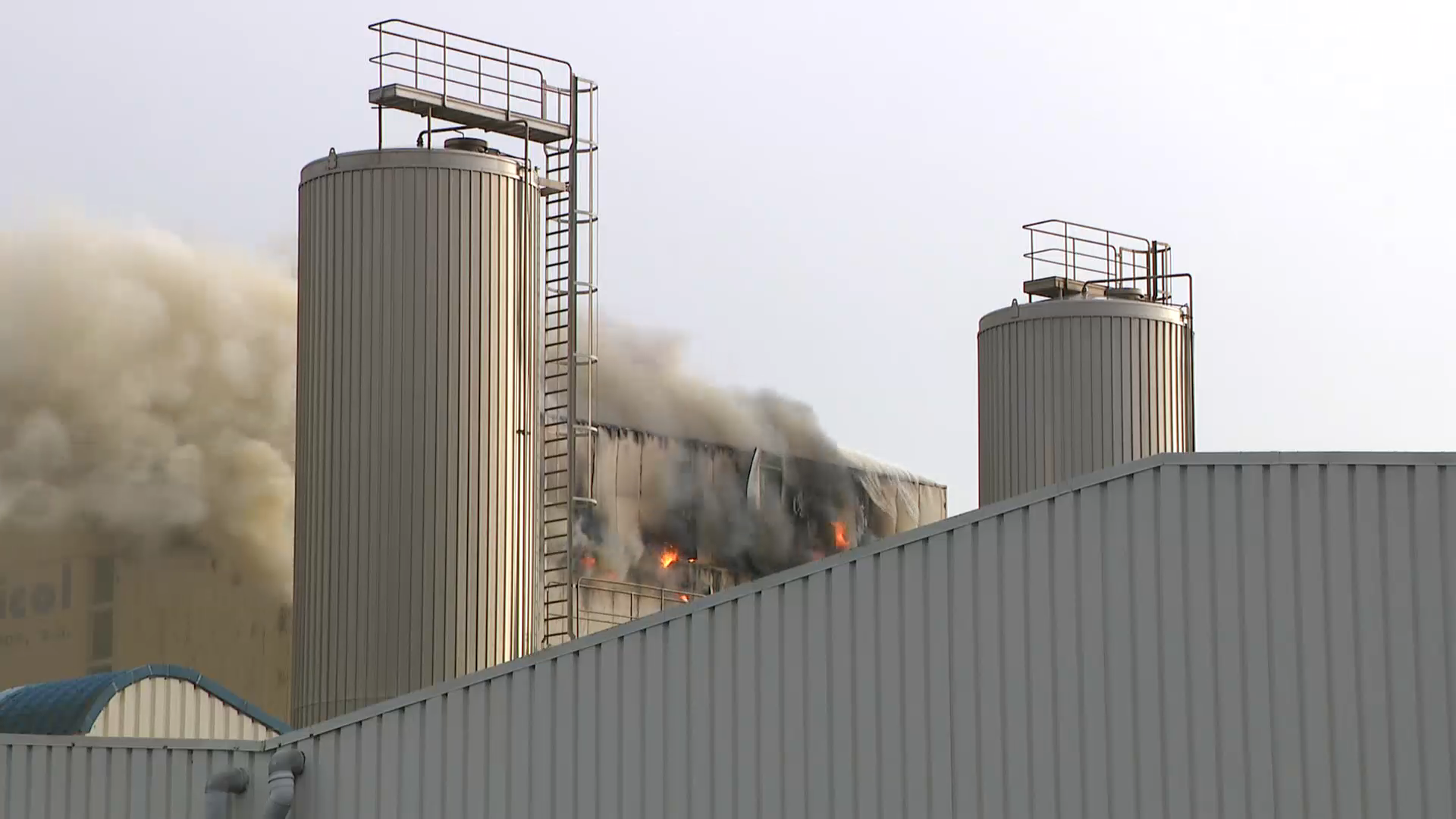 Incêndio destruiu torre de secagem da Pronicol na Terceira - RTP Açores