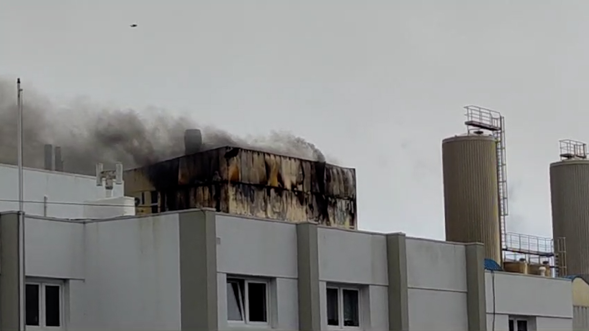 Incêndio na Fábrica da Pronicol em Angra do Heroísmo - RTP Açores
