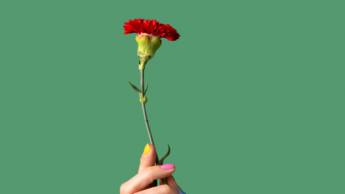 O que vale a Revolução dos Cravos para os açorianos? - RTP Açores