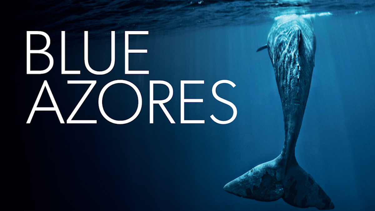 Blue Azores integra grupo de trabalho da ONU na 30ª Conferência das ...