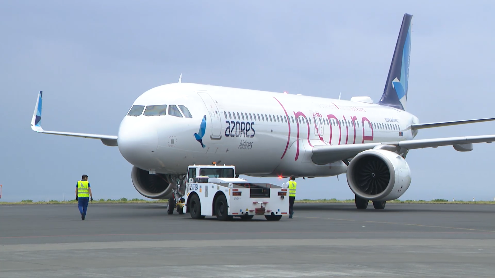 Azores Airlines: Júri do concurso pede até ao final da semana para ...