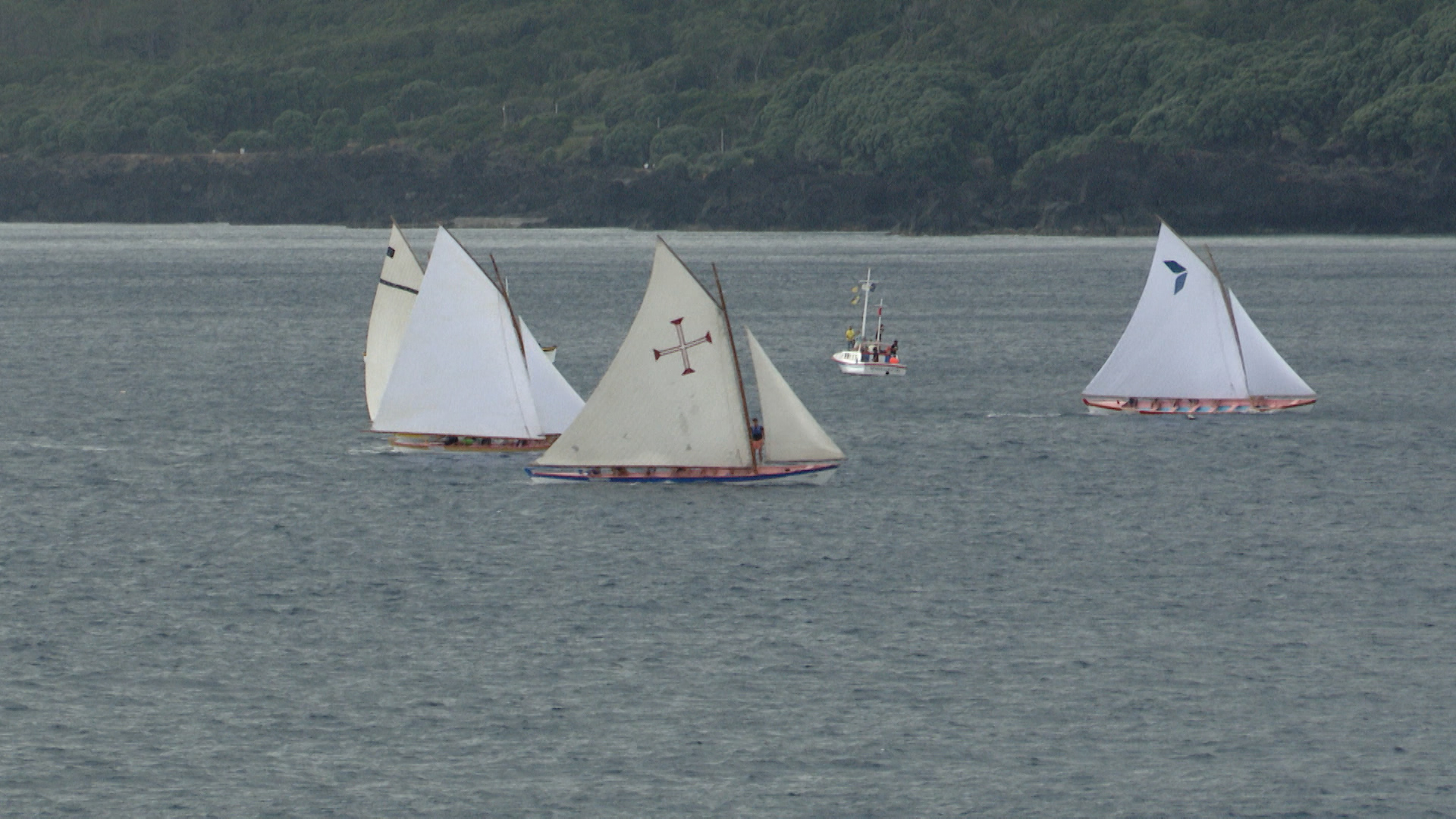 Velejador Conrad Humphreys participa em regata de botes baleeiros no ...