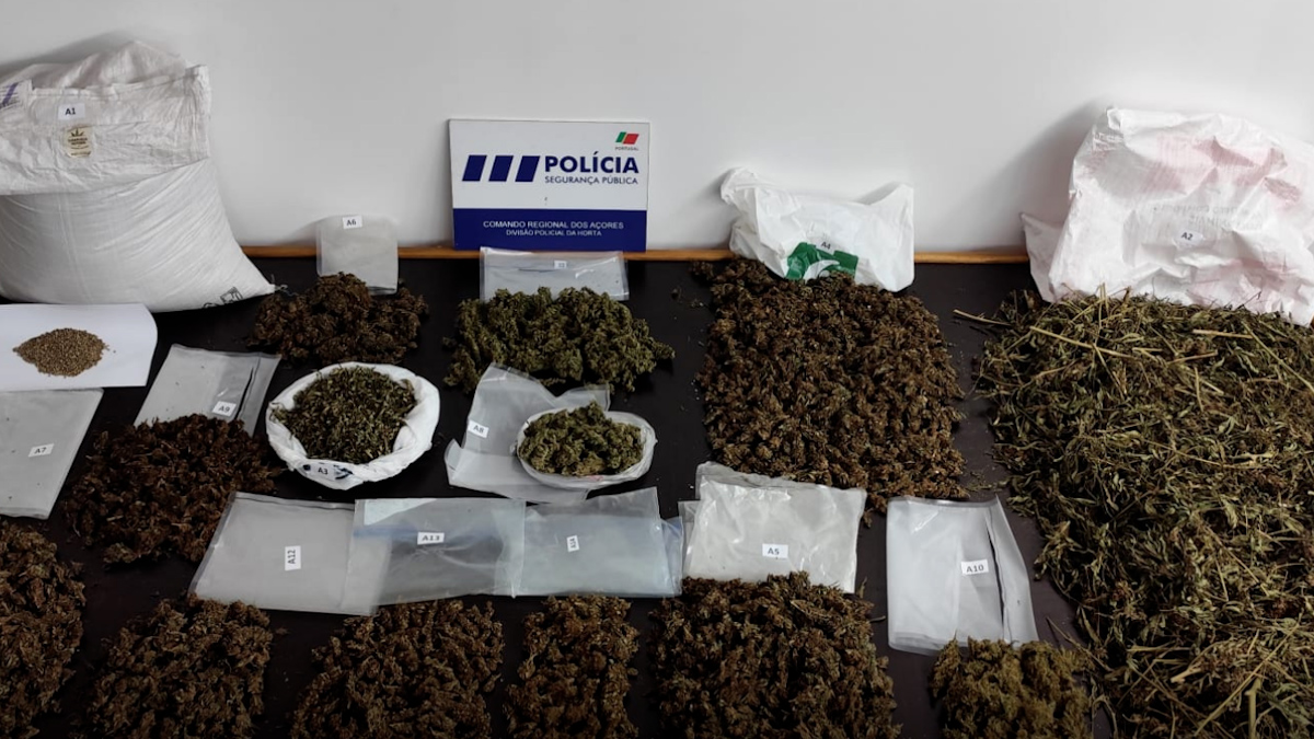 Detenção de suspeito do crime de tráfico de estupefacientes no Pico ...